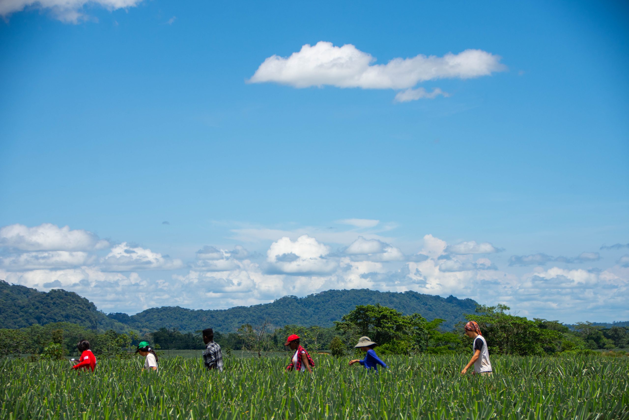 EARTH – Universidad EARTH