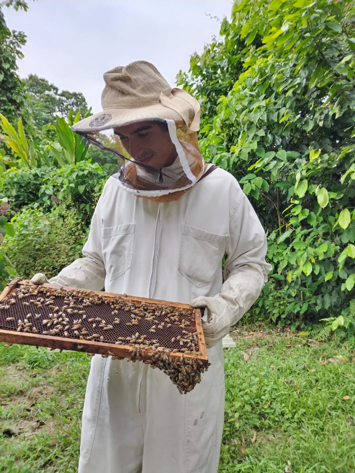 Sergio González: un estudiante que ama y protege a las abejas – EARTH