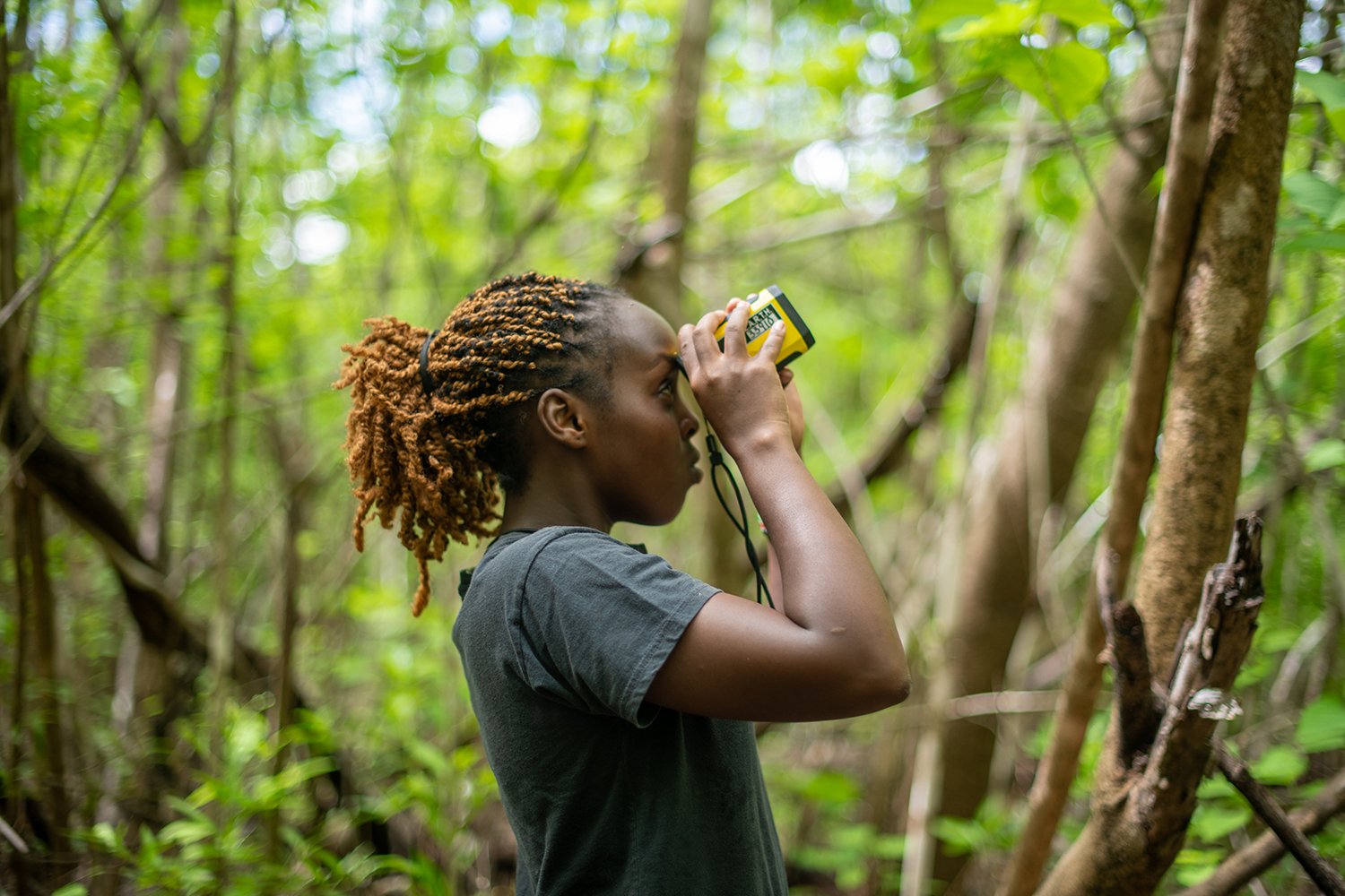 Learning to use Innovative Technology in Sustainable Forest Management ...