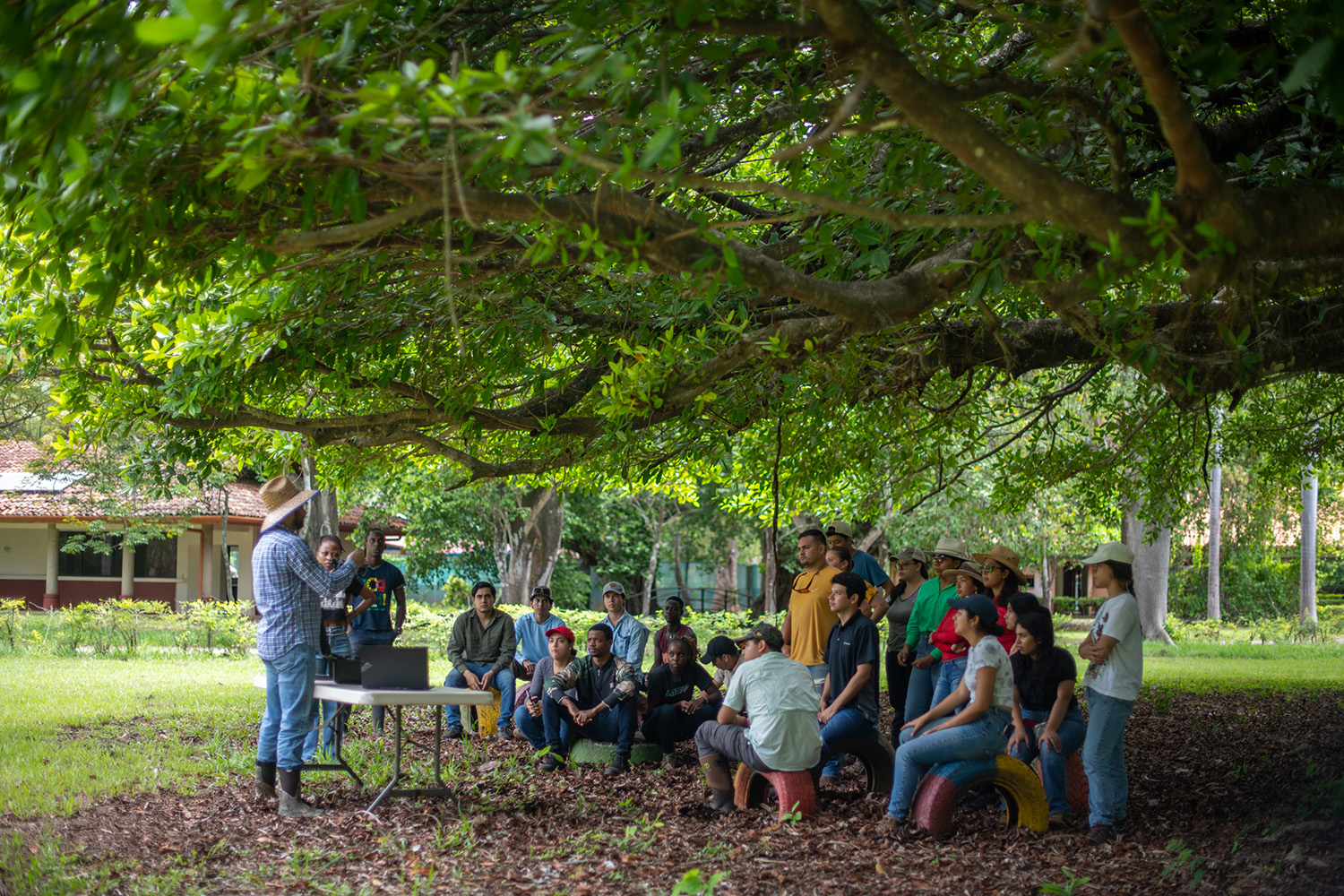 Learning to use Innovative Technology in Sustainable Forest Management ...