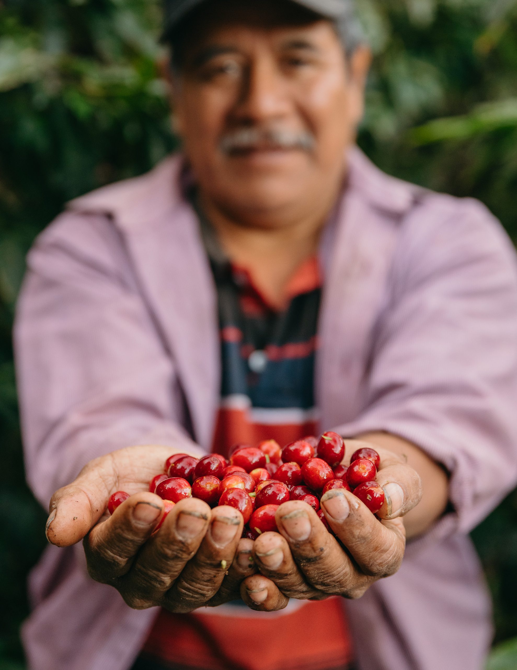 Walmart Foundation Grants EARTH Futures to Empower Rural Communities in ...