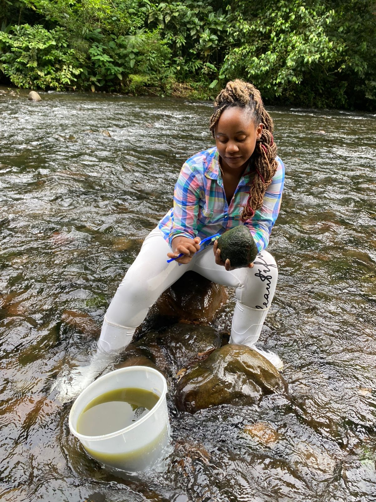 Microalgae: An Innovative Solution for Wastewater Treatment – EARTH